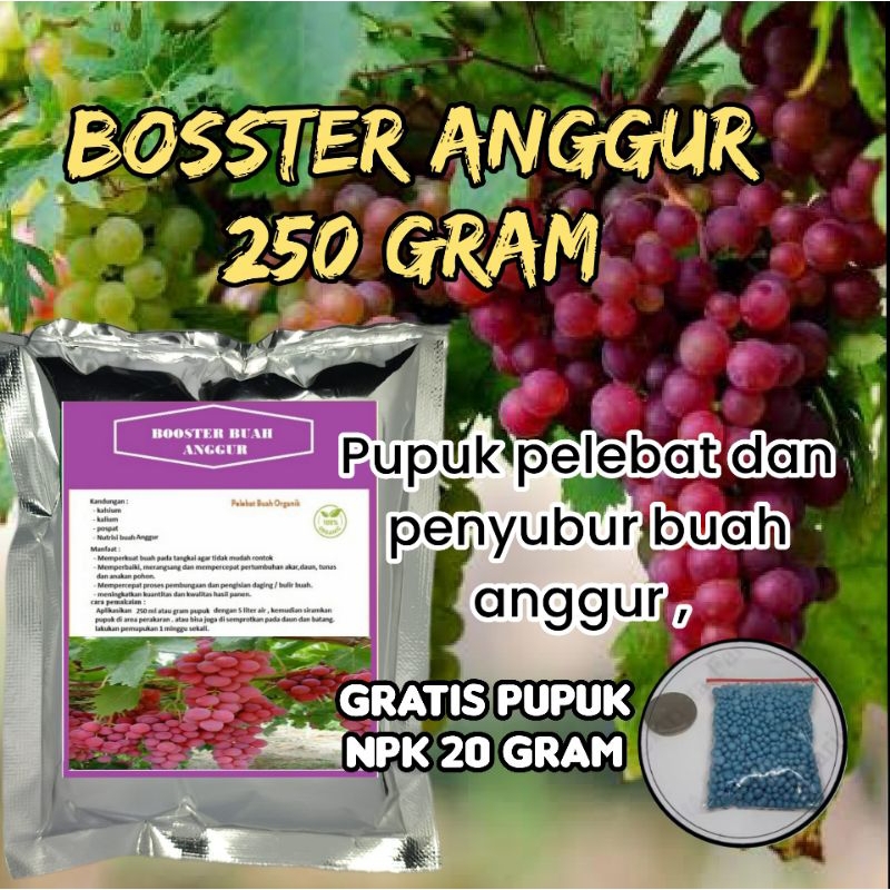 Jual pupuk organik pelebat tanaman booster anggur 250 gram | Shopee Indonesia