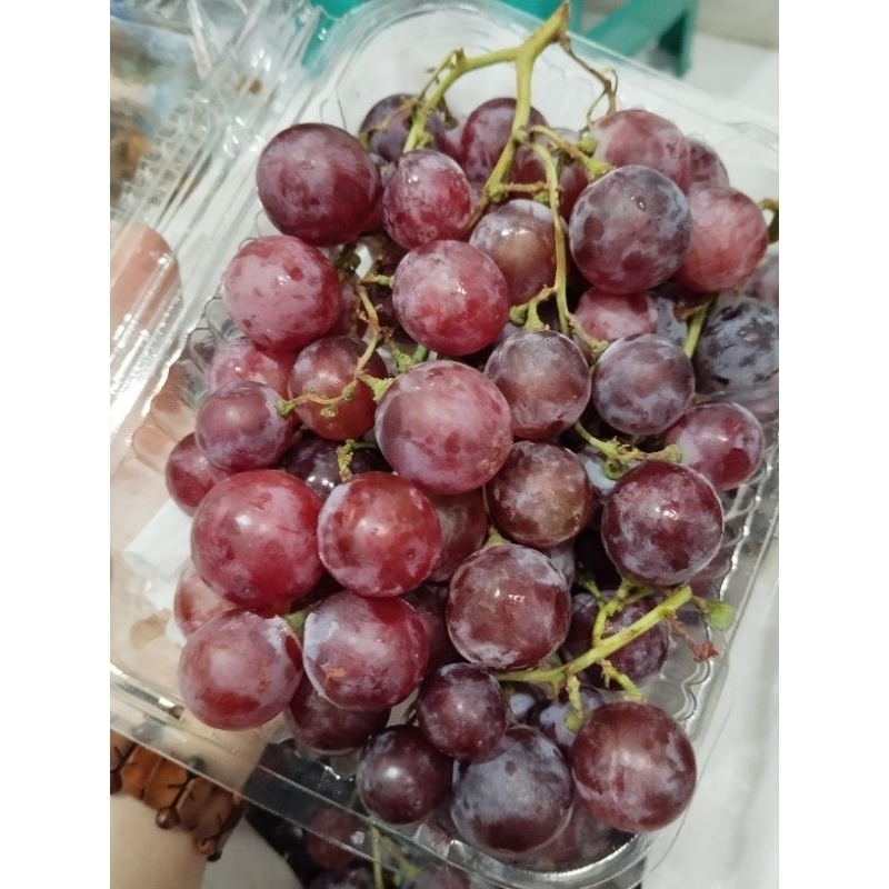 Jual ANGGUR RED GLOBE MANIS SEGAR (500g) | Shopee Indonesia