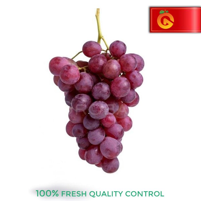 Jual ANGGUR MERAH CHINA 500 GRAM | Shopee Indonesia