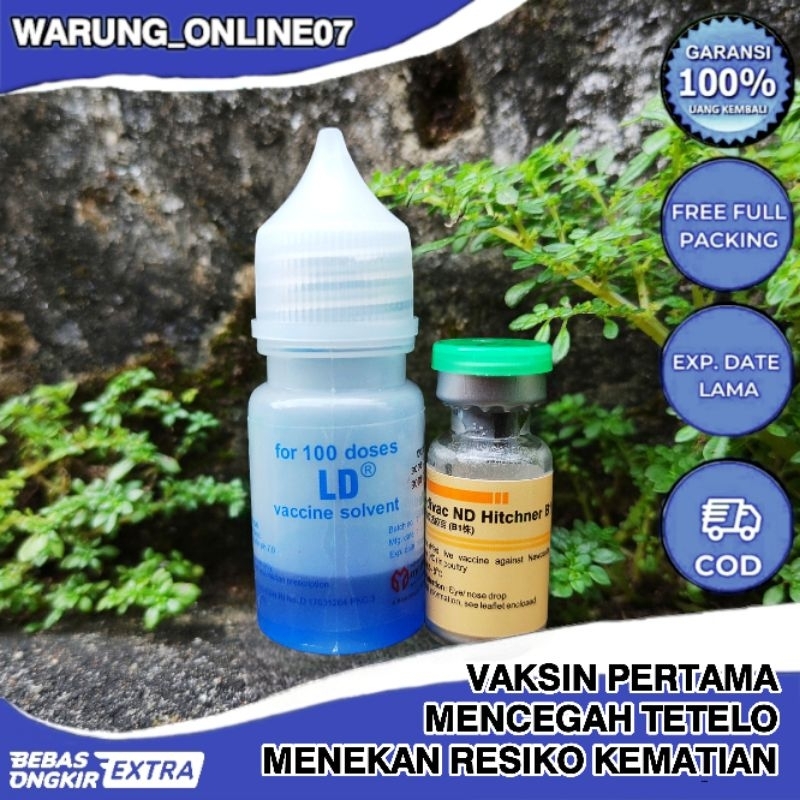 Jual Vaksin ND Hitchner B1 Dosis 100 Ekor Vaksin Ayam Pertama DOC Anti ...