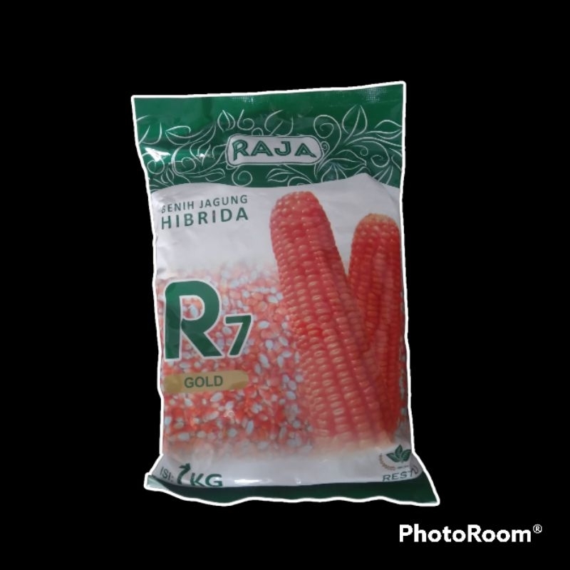 Jual Benih jagung raja R7 gold kemasan 1 kg | Shopee Indonesia