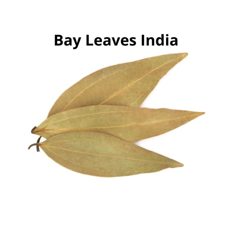 Jual Daun Salam India Bay Leaves Jumbo Panjang Salam Koja Harum ...