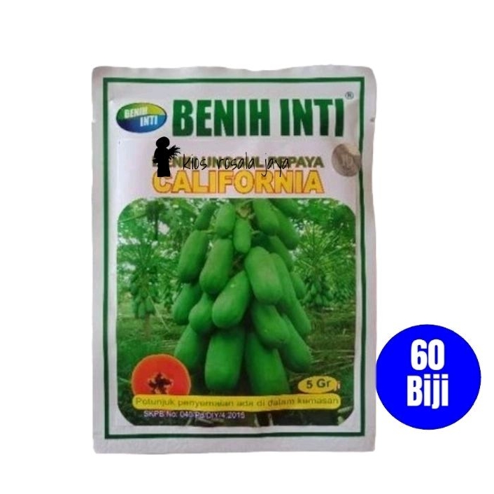 Jual Benih Bibit Pepaya California Isi 60 biji BENIH INTI | Shopee ...