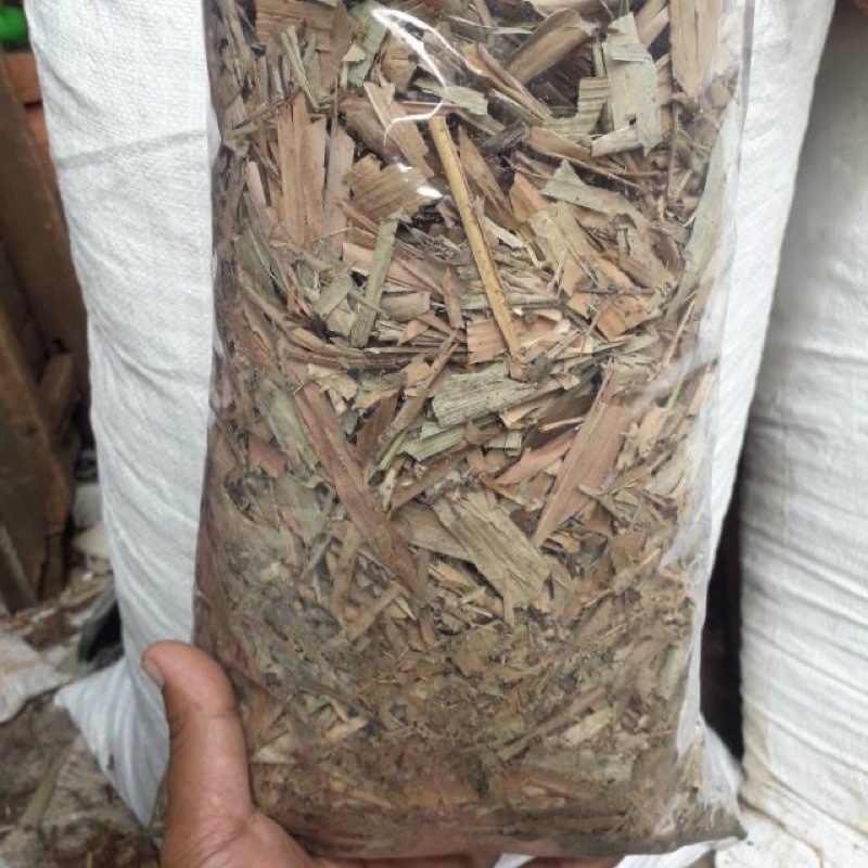 Jual HUMUS DAUN BAMBU / MEDIA TANAM ASLI KEMASAN PLASTIK 1KG | Shopee ...