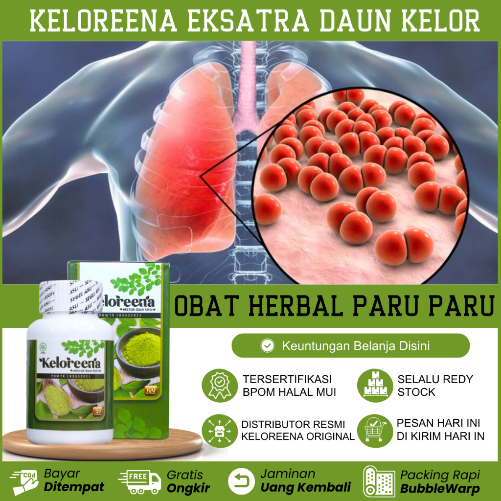Jual Keloreena Obat Paru Paru Penghilang Kotoran di Dalam Paru Paru ...