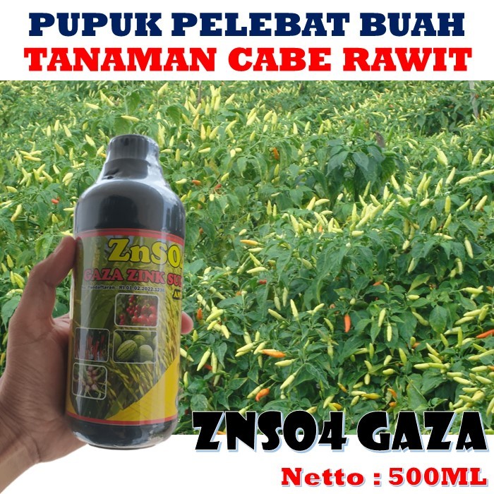 Jual Pupuk Pelebat Buah Tanaman Cabe Rawit Super Lebat Tahan Terhadap Hama ZNSO4 GAZA isi 500ML ...