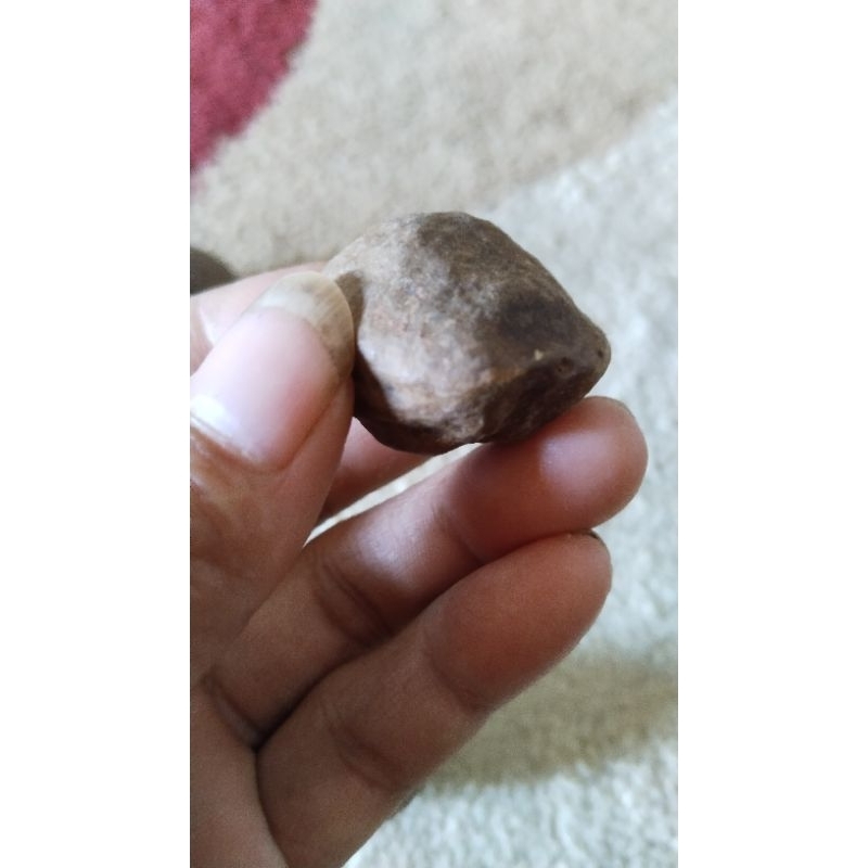 Jual jalim Kaliwiro | Shopee Indonesia