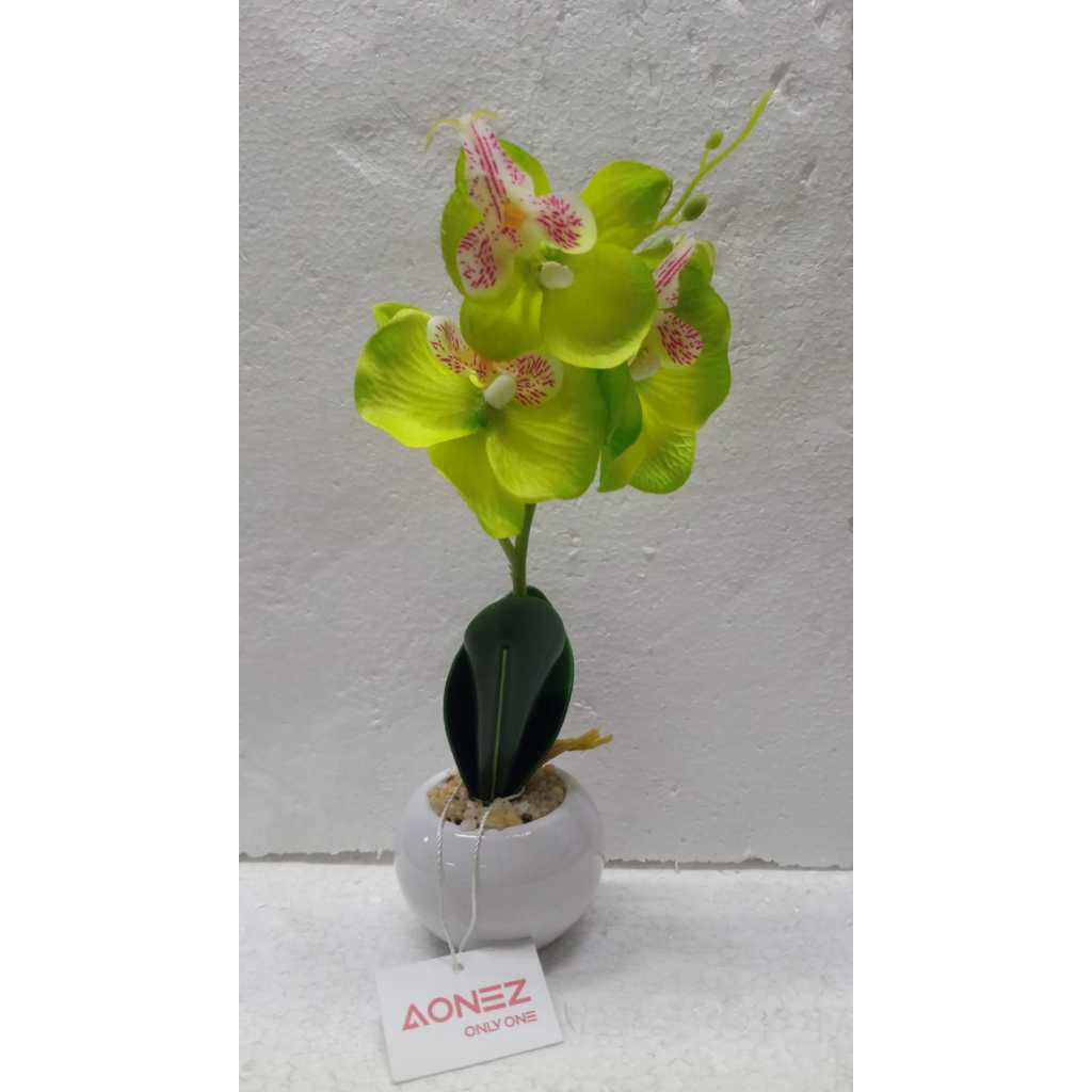 Jual Aonez Bunga Hias Anggrek Pot Keramik/Bungan Hias/Bunga Imitasi ...