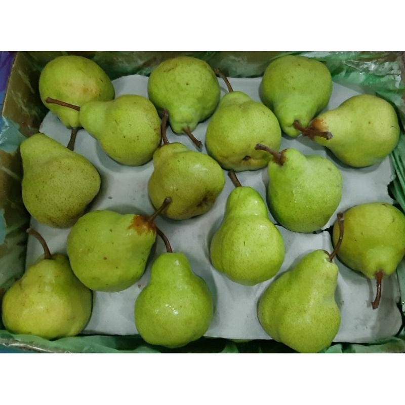 Jual Buah Pir Packham Afrika Fruitways (200gr) | Shopee Indonesia