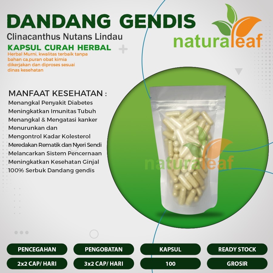 Jual DANDANG GENDIS 100 Kapsul Herbal Diabetes Kolesterol Ginjal ...