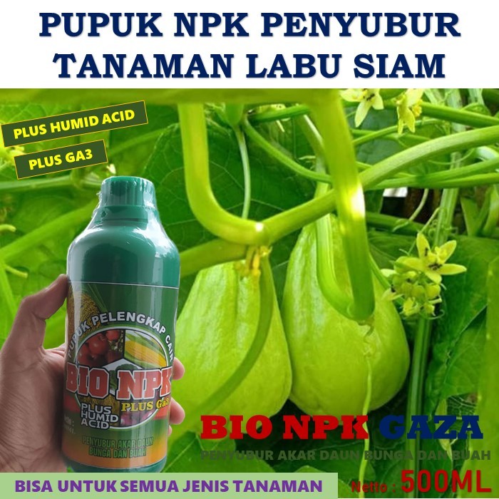 Jual Pupuk Penyubur Tanaman Labu Siam Berbuah Lebat Bagus Besar Paling Manjur BIO NPK GAZA 500ML ...