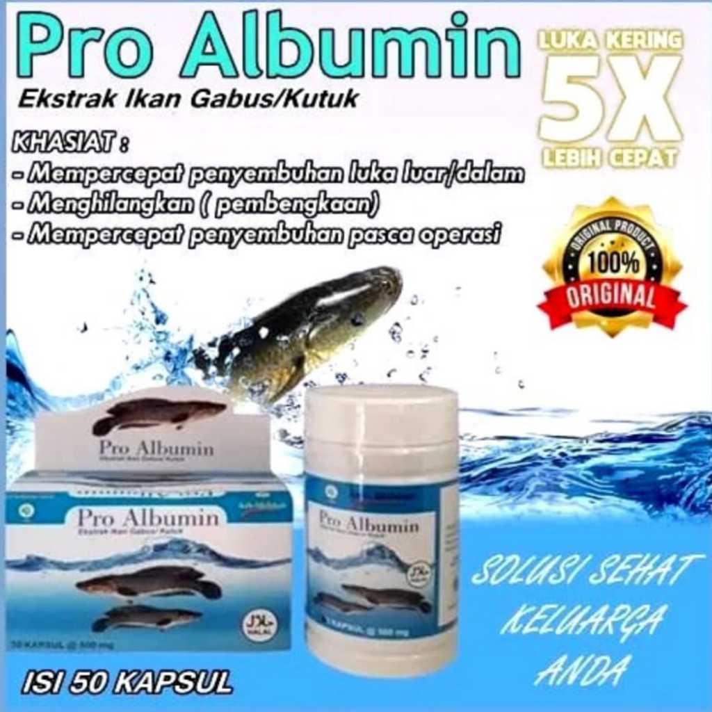 Jual Pro Albumin Ikan Gabus | Kapsul Ikan Kutuk | Herbal Obat Luka | Pasca Oprasi | Shopee Indonesia