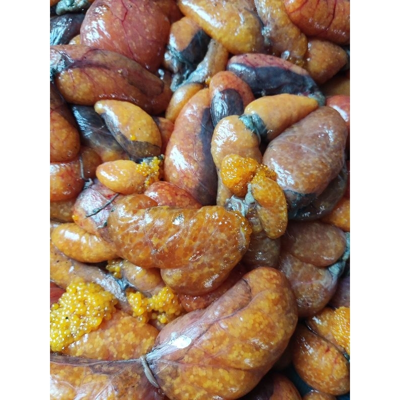 Jual Telor Ikan kemasan 250gr | Shopee Indonesia