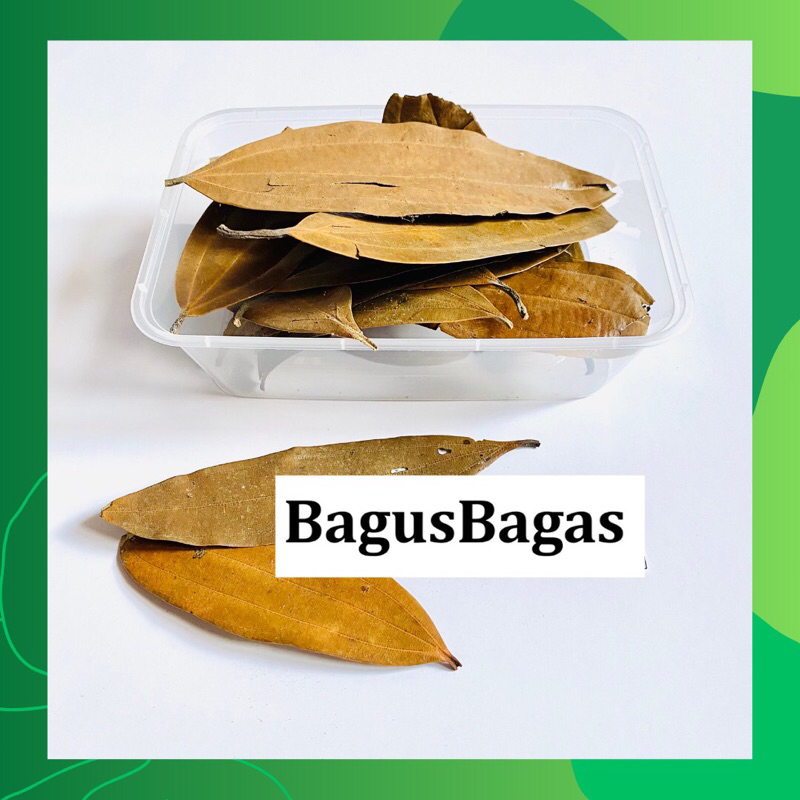 Jual 50gr Daun Kayu Manis Cinnamon Leaf MURNI Kering Herbal Tradisional ...