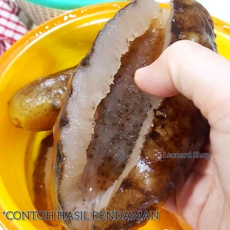 Jual HAISOM TUBOSOM HITAM 500GR SUPER KERING ( 1 KILO JADI 4-5 KG ...