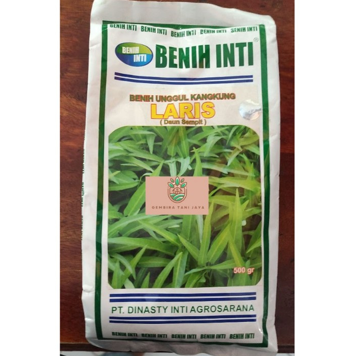 Jual benih kangkung laris benih inti 100gr daun sempit hijau biji bibit ...