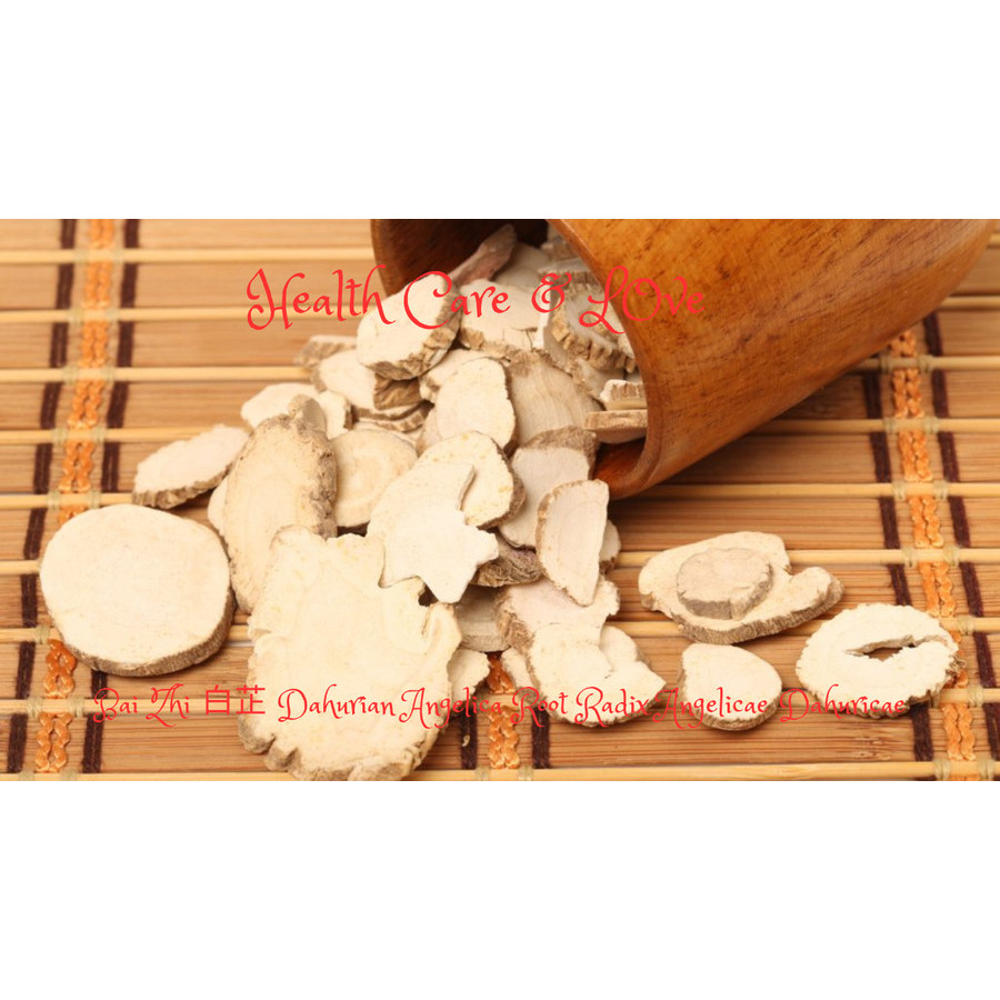 Jual Bai Zhi 白芷 Dahurian Angelica Root Radix Angelicae Dahuricae 50 Gr ...