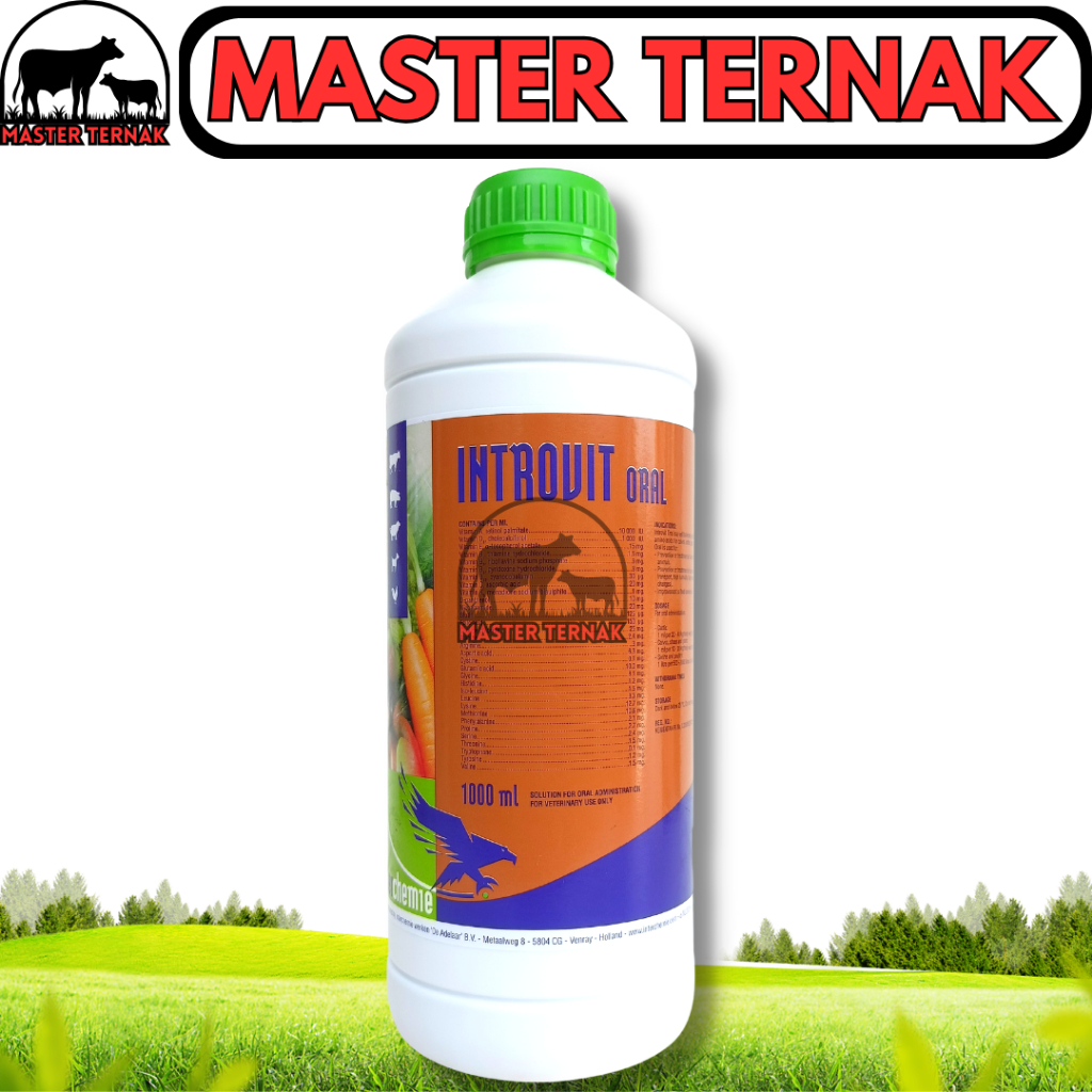 Jual INTROVIT ORAL 1 Liter Multivitamin & Asam Amino Mempercepat ...