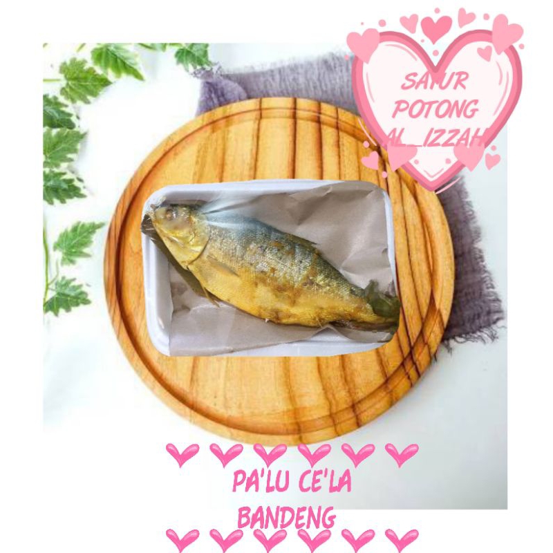 Jual PA'LU CE'LA BOLU/IKAN BANDENG KUNING/IKAN BOLU KUNING | Shopee ...