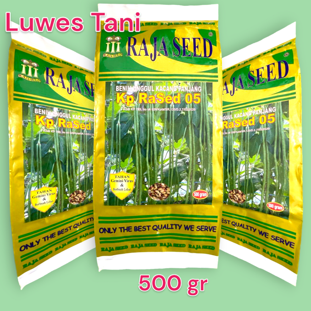 Jual benih kacang panjang raja seed kp rased 05 500 gram tahan virus ...
