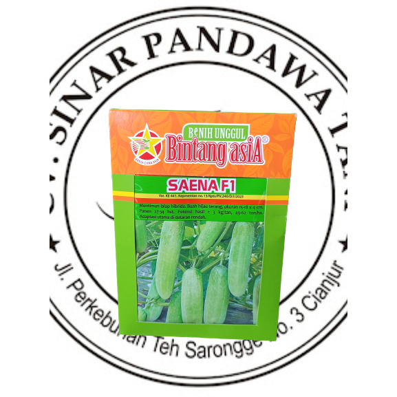 Jual Benih Timun Lalap Saena f1 20gram | Shopee Indonesia
