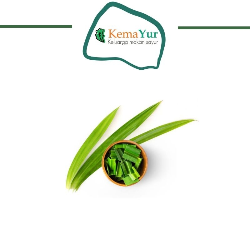 Jual DAUN PANDAN 1 IKAT | Shopee Indonesia