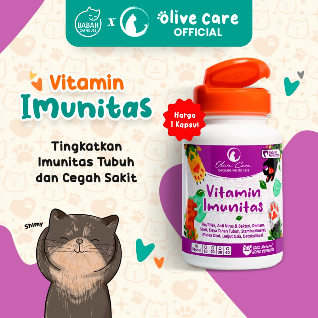 Jual Olive Care Vitamin Kucing IMUNITAS untuk Daya Tahan Tubuh Obat ...