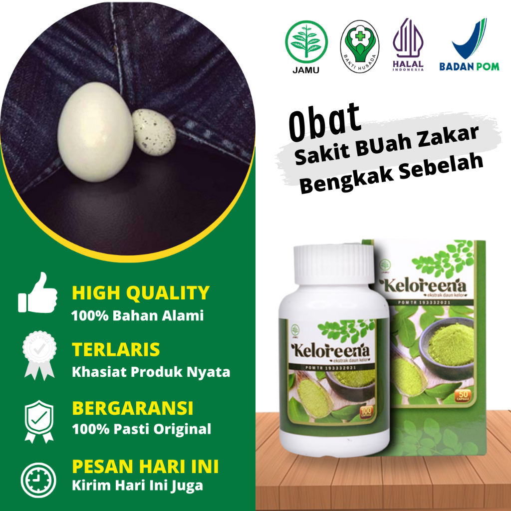 Jual Obat Buah Zakar Bengkak Sebelah, Obat Testis Nyeri, Obat Testis ...