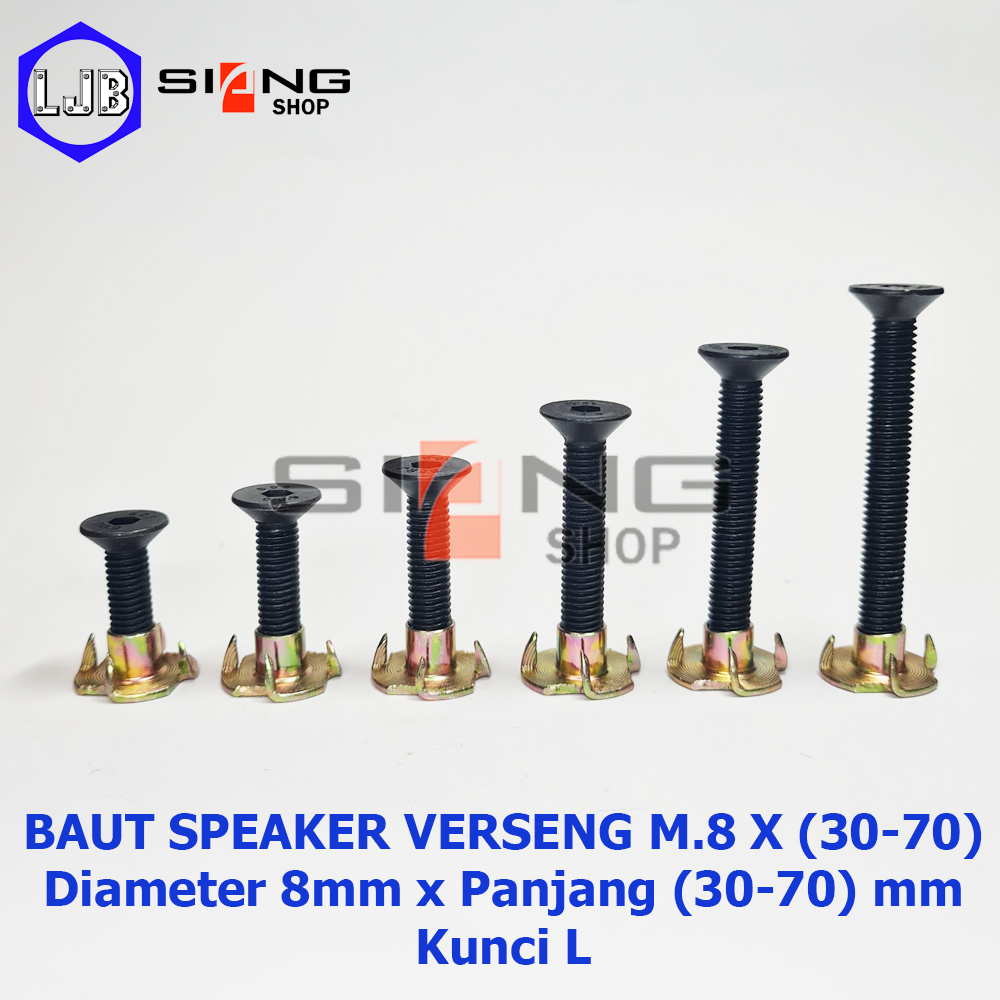 Jual Baut Speaker Cakar M8 JF L Verseng panjang 30 sd 70 mm | Shopee ...