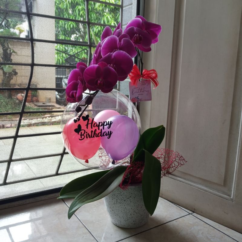 Jual Buket Rangkaian Anggrek Hidup dalam Vas + Balon Ucapan | Shopee ...