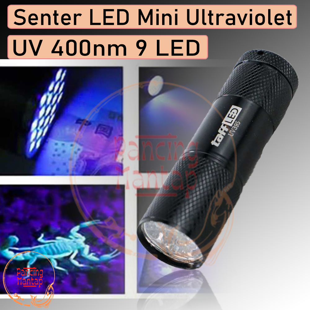Jual Senter LED Mini Ultraviolet UV 400nm 9 LED | UV Flashlight 9LED ...