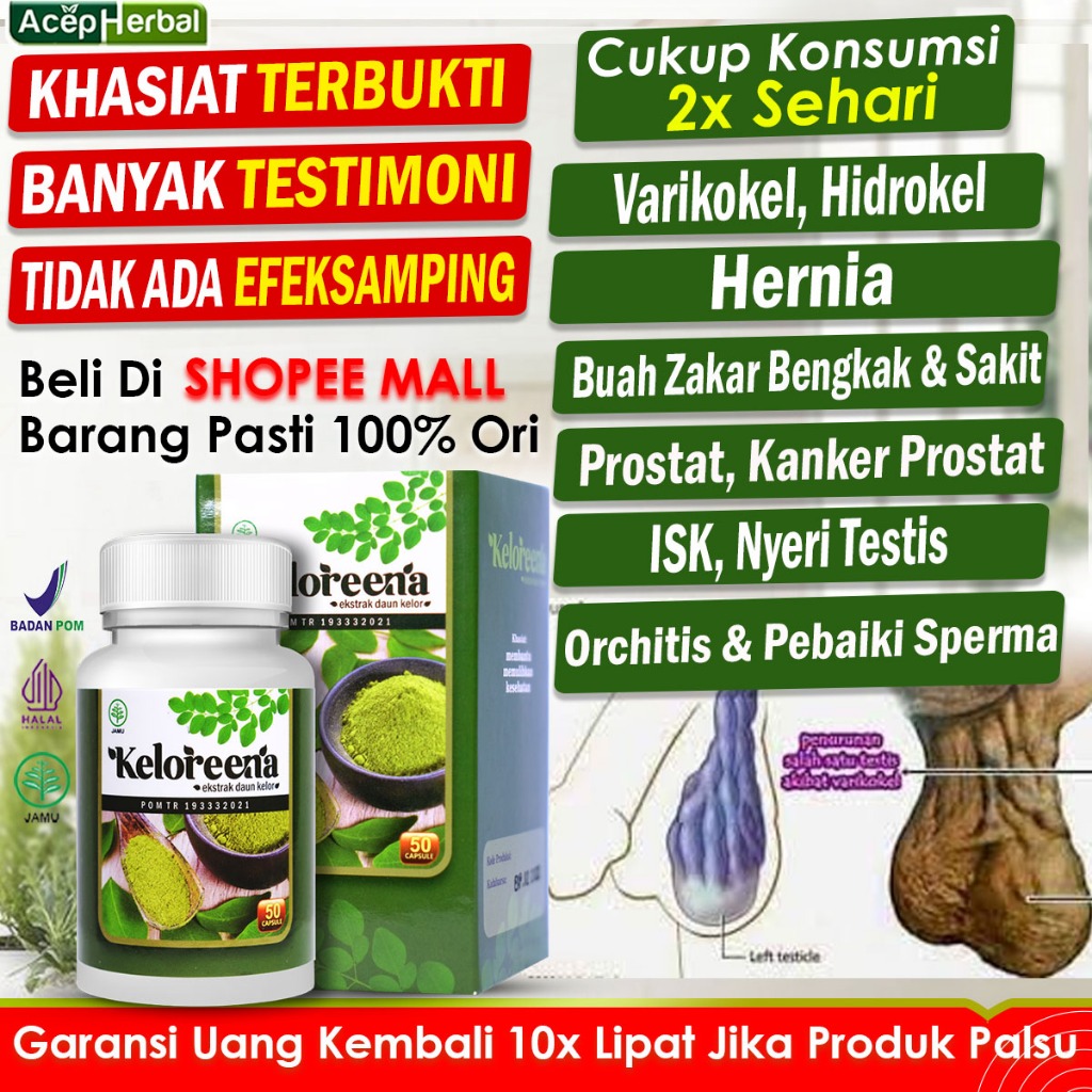 Jual Herbal Obat Hernia Varikokel Buah Zakar Bengkak Sebelah Nyeri ...