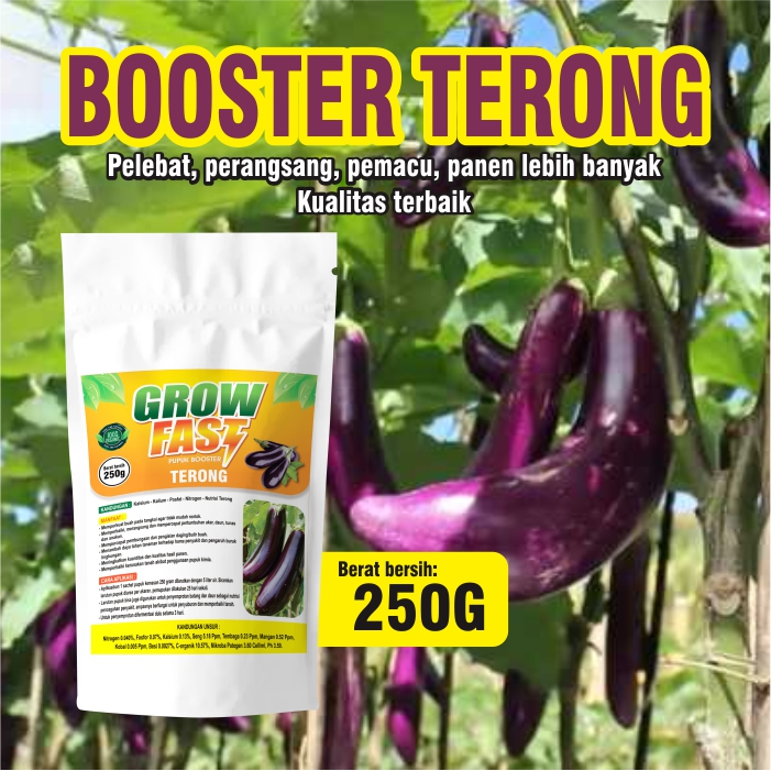Jual Pupuk Booster Terong (250gr) I pupuk organik pelebat tanaman I pupuk organik perangsang ...