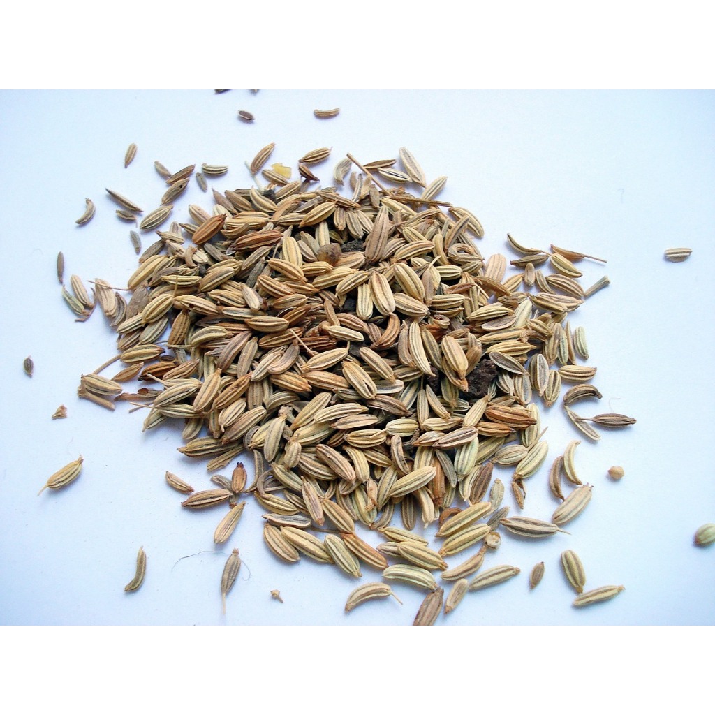 Jual Biji Adas Manis 50gr Fennel Seeds 50 gram | Shopee Indonesia