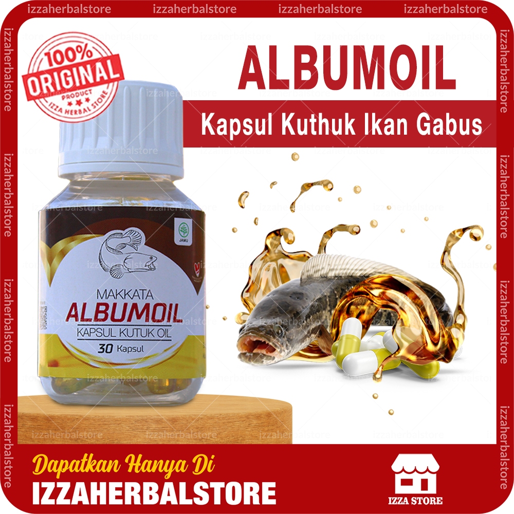 Jual Kapsul Minyak Ikan Gabus ALBUMOIL Original Kapsul Kutuk Pengering ...