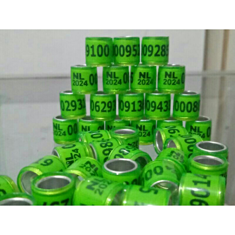 Jual RING MERPATI IMPORT 2024 MODEL KRISTAL (BISA DIPAKAI UNTUK SEGALA ...
