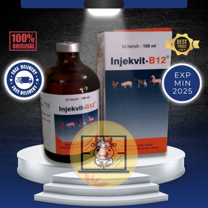 Jual INJEKVIT B12 MEDION @ 100 ML | Shopee Indonesia