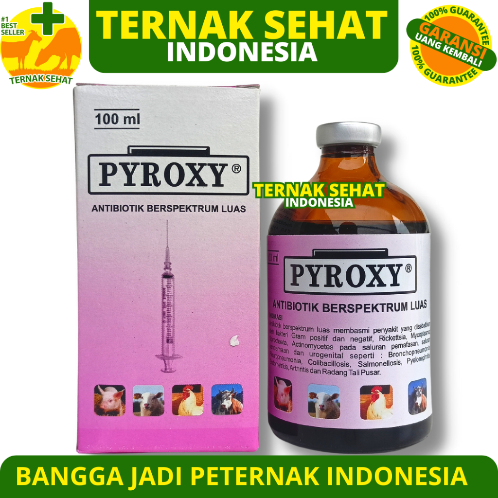 Jual PYROXY 100 ML - Obat antibiotik Pernafasan dan Pencernaan Pada ...