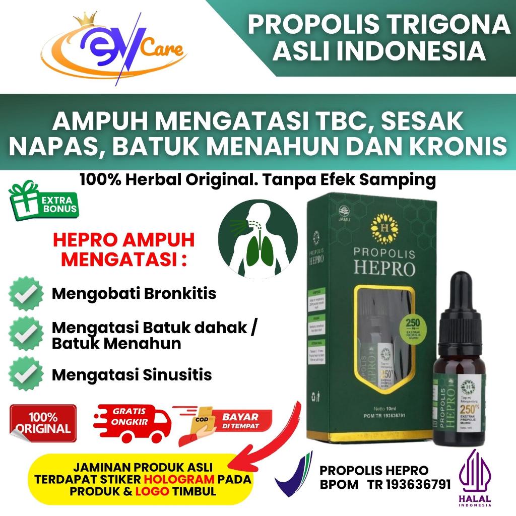 Jual Propolis Hepro 10 ml Propolis Trigona Hepro BPOM | Shopee Indonesia