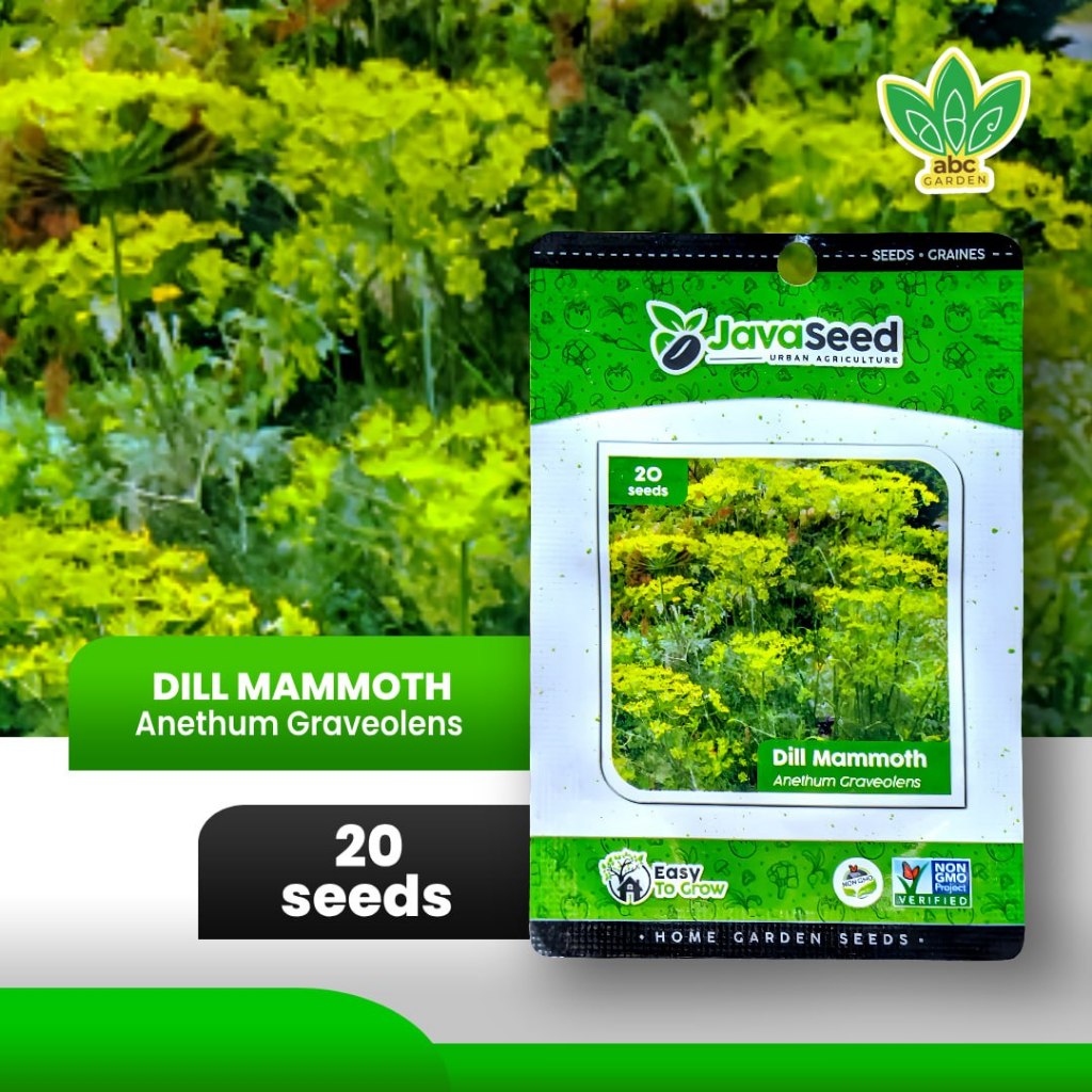 Jual [20 seeds] Benih Daun Adas Sowa Dill Mammoth | Shopee Indonesia