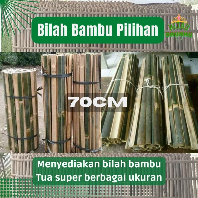 Jual Bilah Bambu Pilihan Panjang 70cm Pring Serbaguna Untuk Kerajinan ...