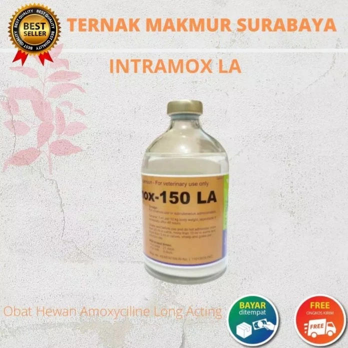 Jual Intramox LA 100ml | Shopee Indonesia