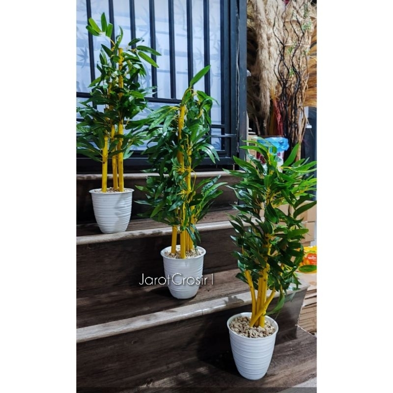 Jual BAMBU KUNING POT TAWON TINGGI 80CM // BUNGA HIAS BAMBU KUNING ...