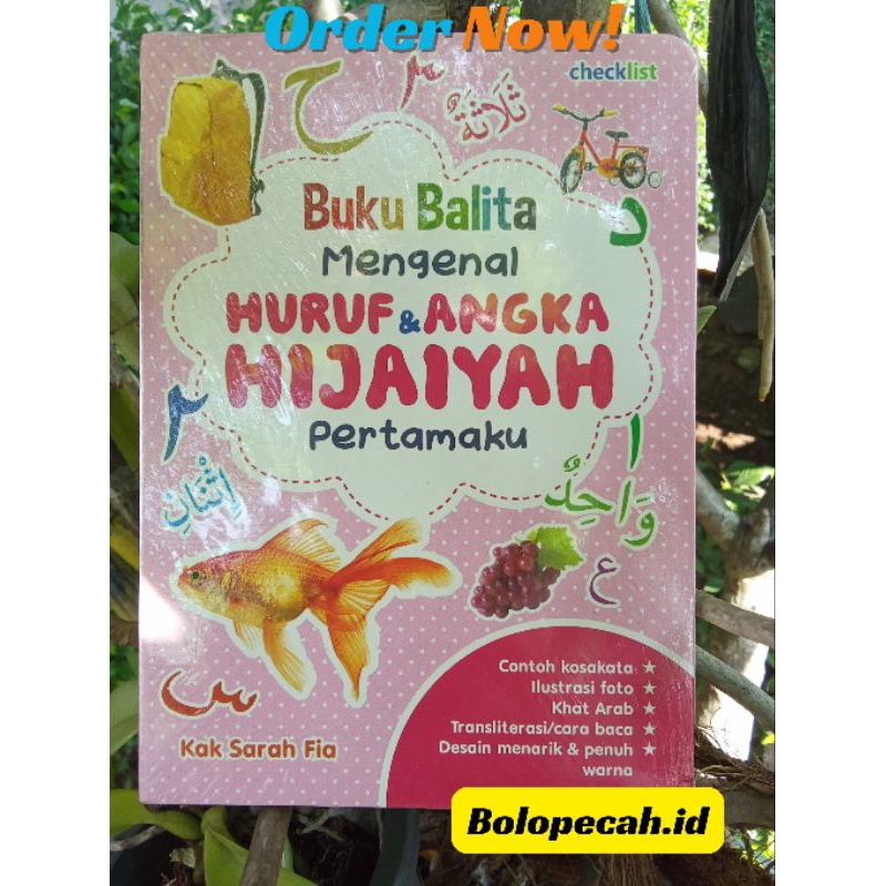 Jual BUKU BALITA MENGENAL HURUF DAN ANGKA HIJAIYAH PERTAMAKU Sarah Fia ...