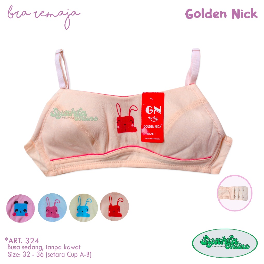Jual Grosir --- Bh remaja | Bra ABG | Bra Golden Nick Remaja / Miniset ...
