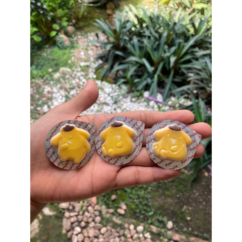 Jual pompompurin chocolate / bento / lunch box | Shopee Indonesia