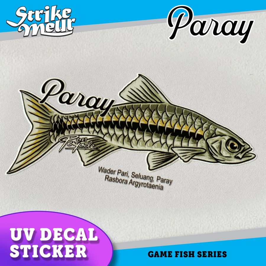 Jual STICKER IKAN PARAY / WADER PARI UV DECAL | Shopee Indonesia