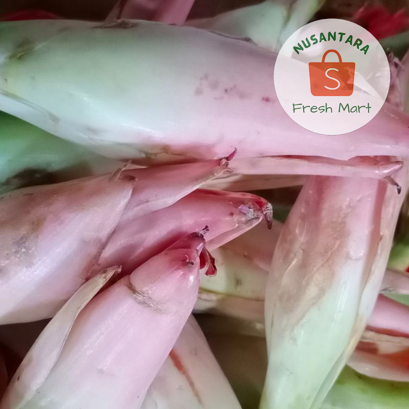 Jual Bunga Kecombrang 1 kg / Kencong / Combrang | Shopee Indonesia