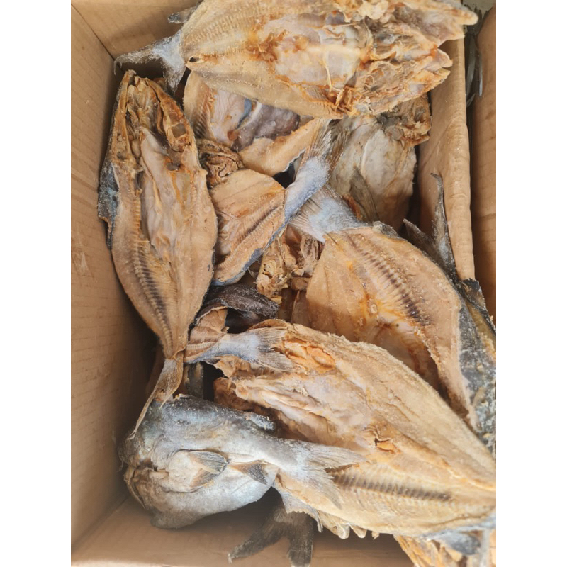 Jual IKAN DUKANG (ASIN) | Shopee Indonesia