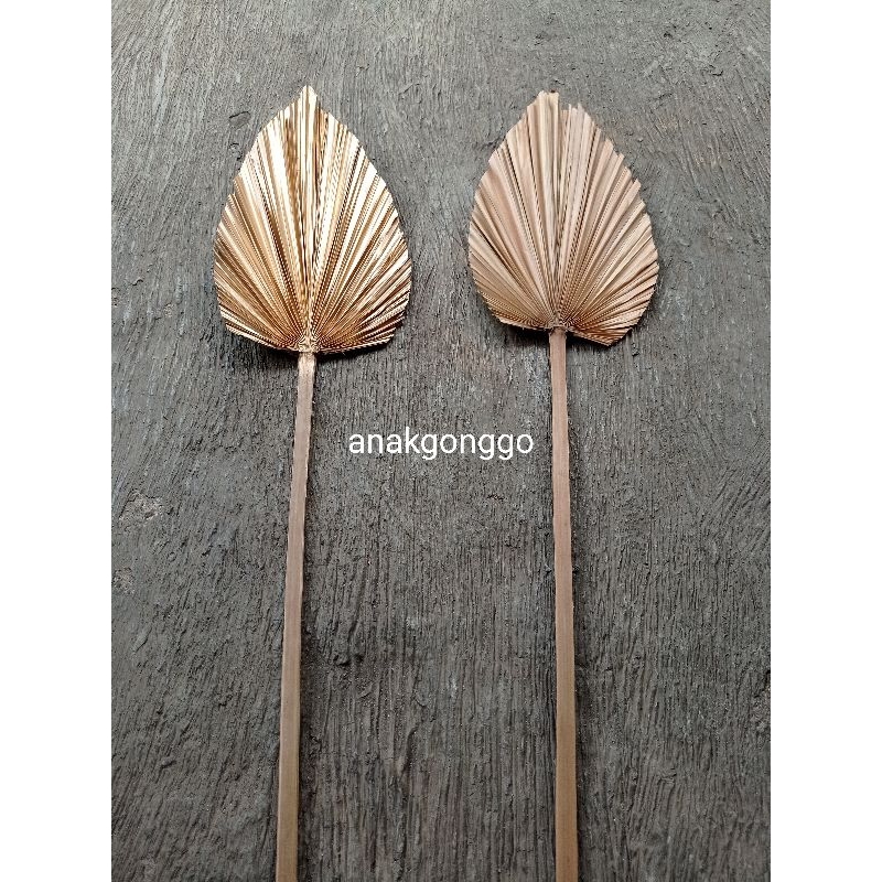 Jual Promo Daun Palem Sadeng Asli Palm Mini Kecil Ukuran +15cm Warna ...